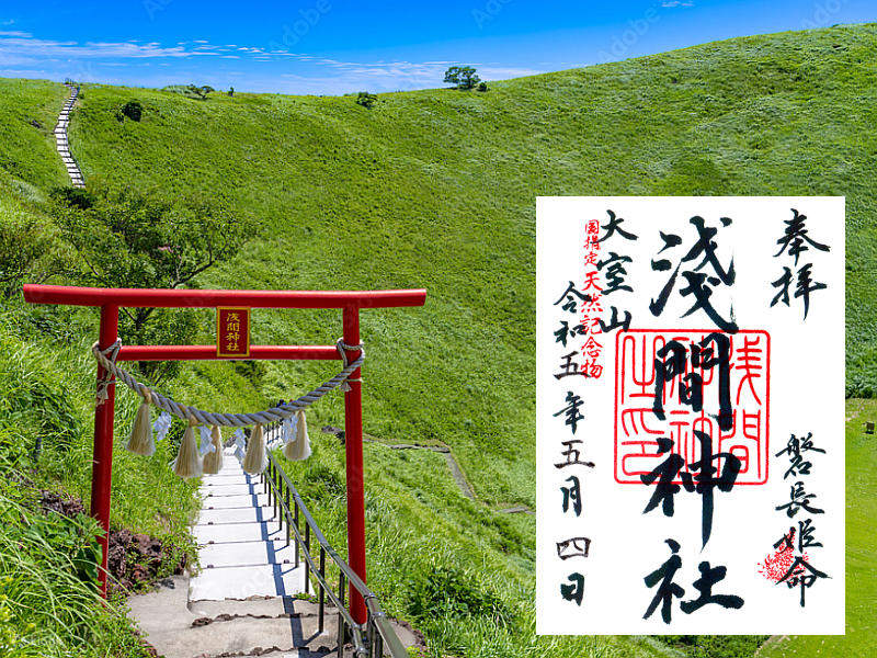 Izu Ocean View Day Trip | Departing from Tokyo - Klook